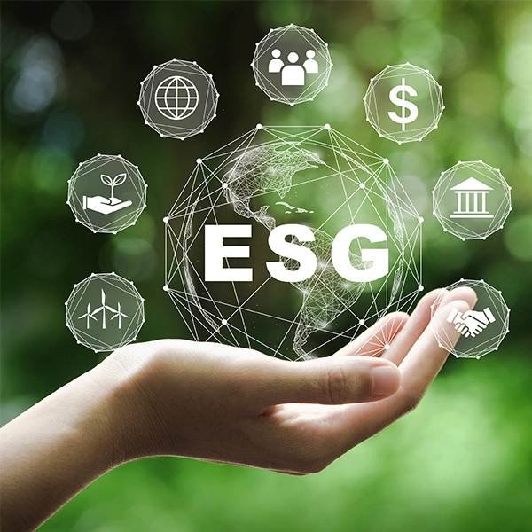 The Evolution of ESG in Asset Management: India's Journey Towards ...